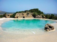 Why should you choose a Biodesign Pool? | Biodesign Pools