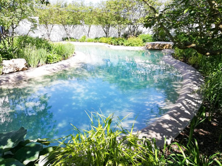 Why should you choose a Biodesign Pool? | Biodesign Pools