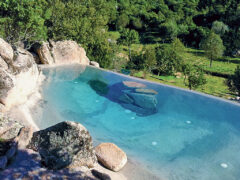 Sale of Natural Pools, Natural Ponds, Biodesign Pools